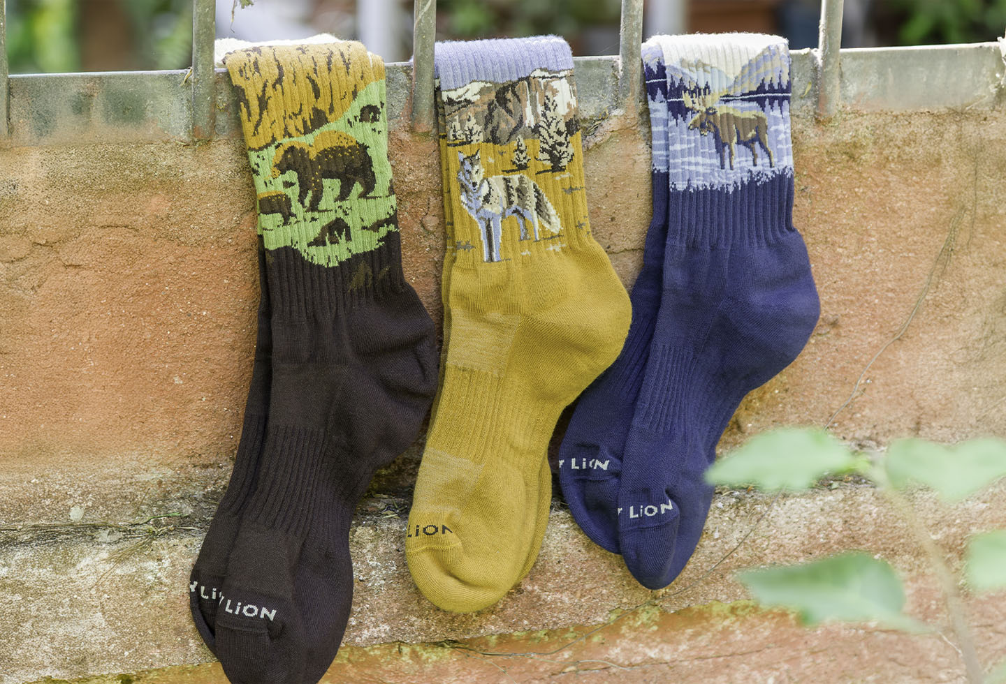 Tiendas Jimmy Lion | Calcetines Originales Hombre, Mujer y Niños